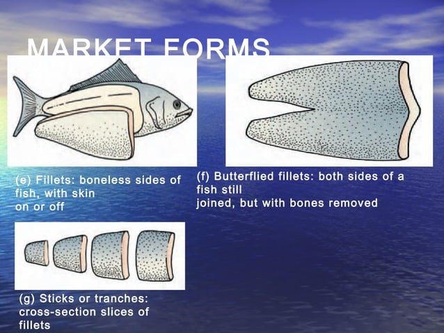 Fish and shellfish | PPT | Fish and Aquariums | Pets