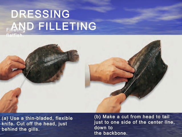 Fish and shellfish | PPT | Fish and Aquariums | Pets