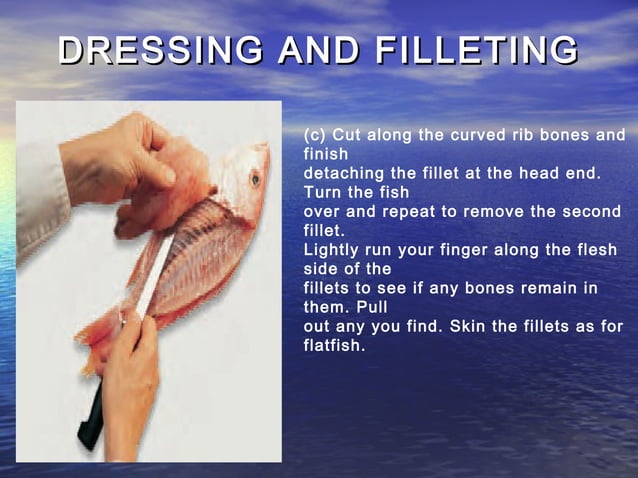 Fish and shellfish | PPT | Fish and Aquariums | Pets