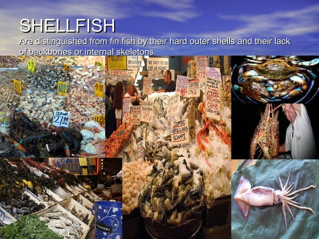 Fish and shellfish | PPT | Fish and Aquariums | Pets