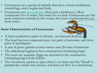 Fish and shellfish | PPT