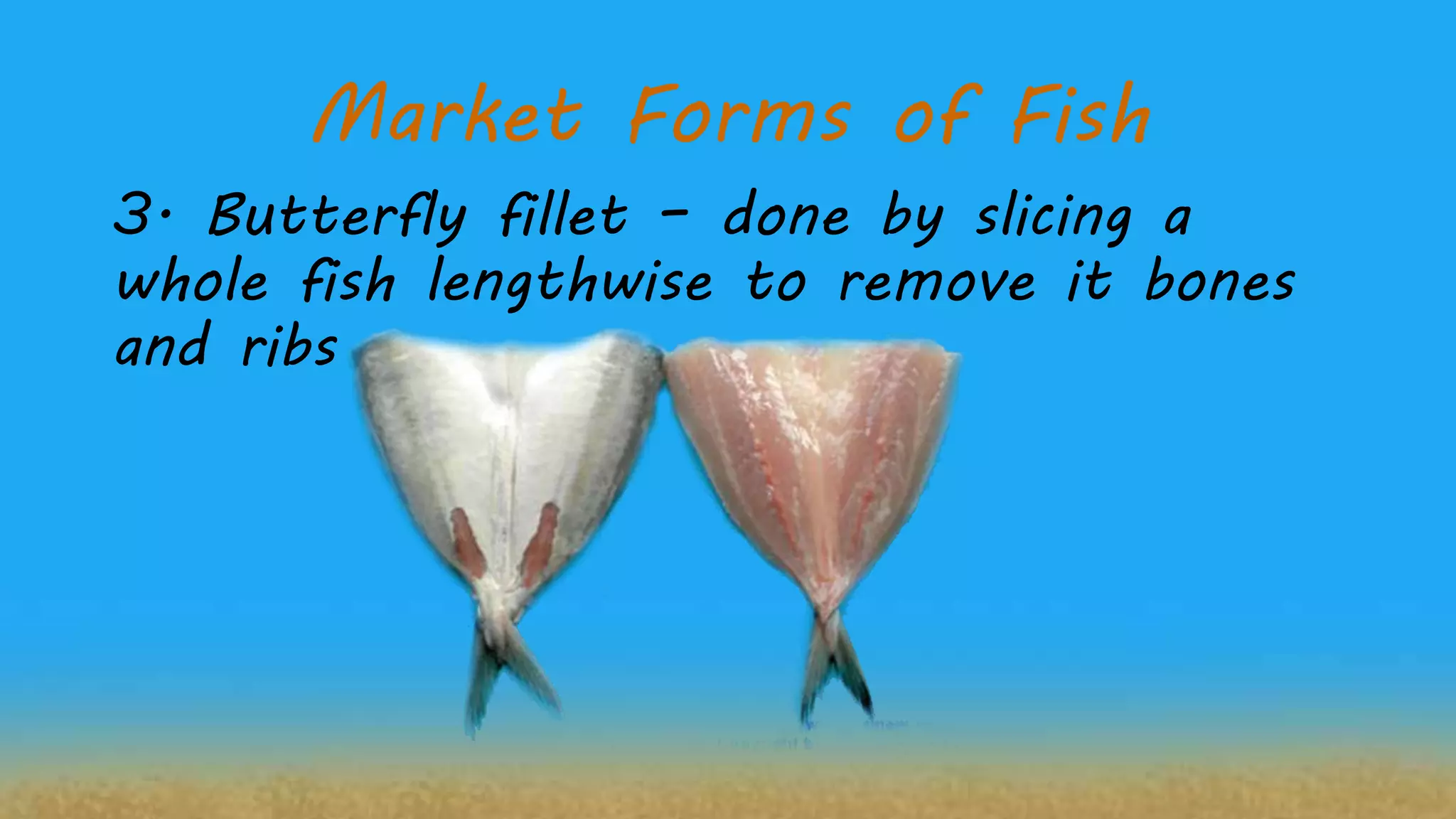 Fish and shellfish | PPTX