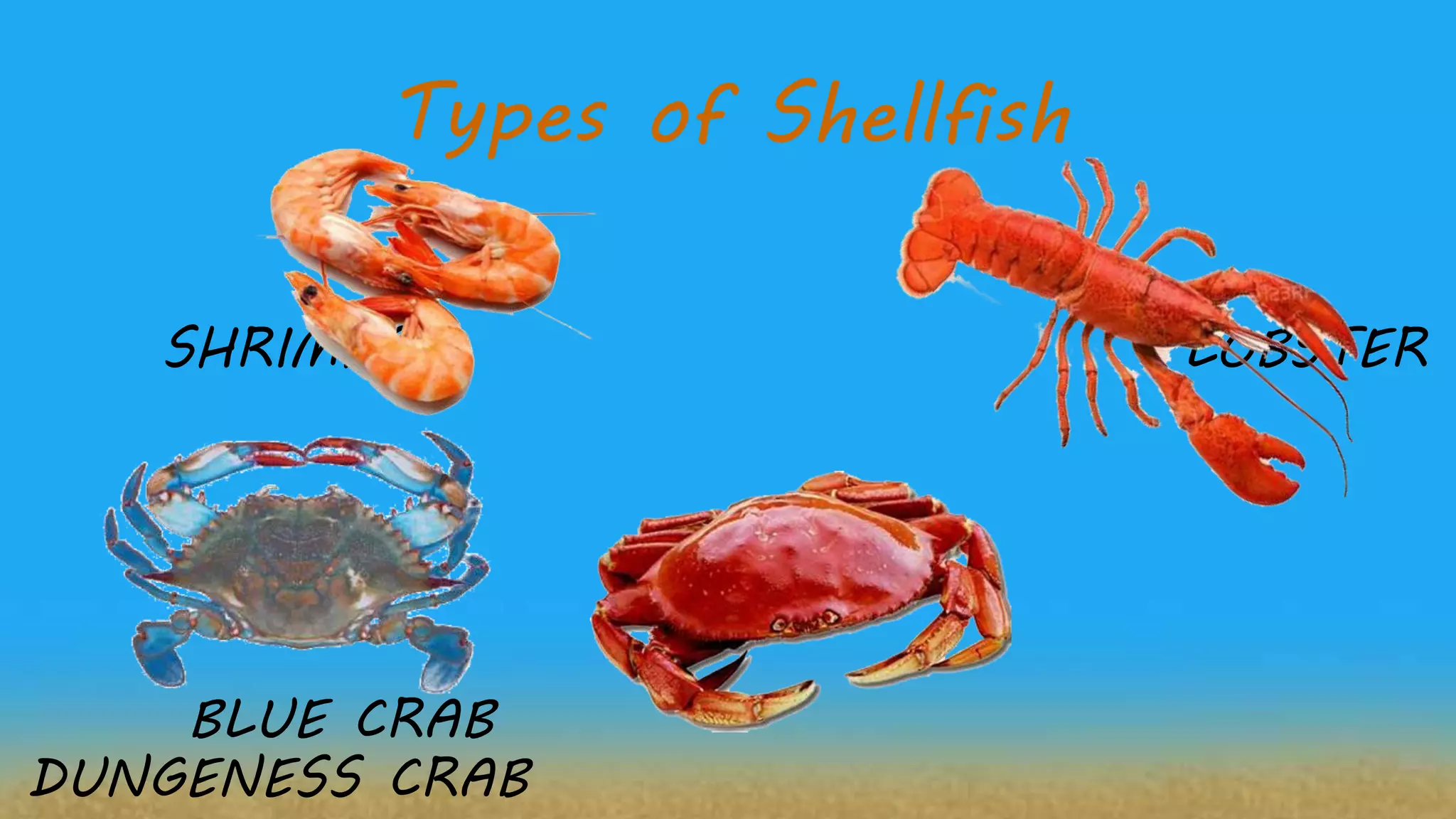 Fish and shellfish | PPTX