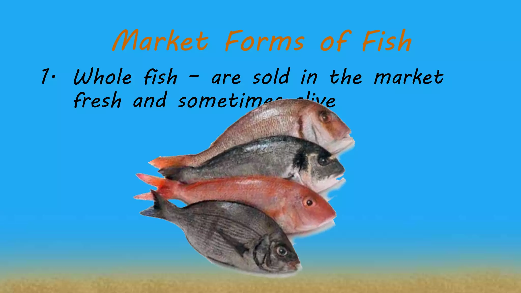 Fish and shellfish | PPTX