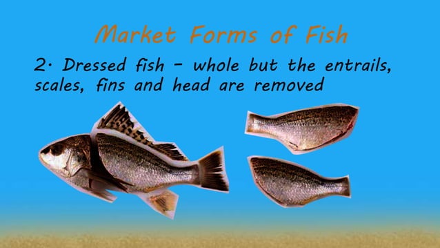 Fish and shellfish | PPTX