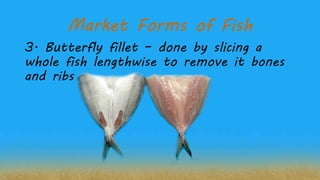 Fish and shellfish | PPTX