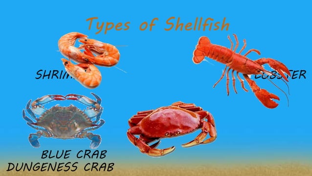 Fish and shellfish | PPTX