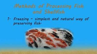 Fish and shellfish | PPTX