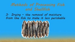 Fish and shellfish | PPTX