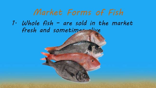 Fish and shellfish | PPTX