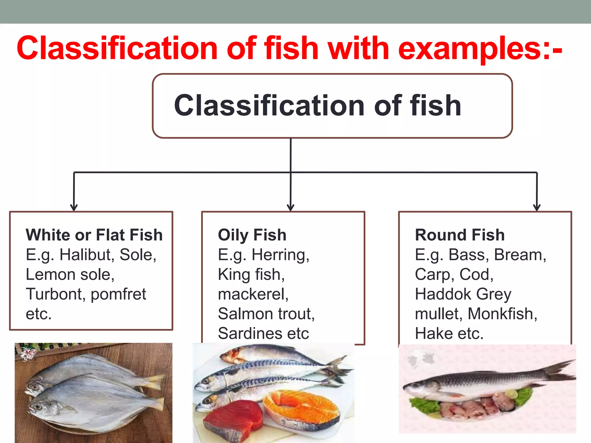 Fish and shell fish | PPT