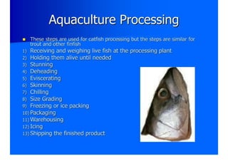 Fish And Shellfish | PDF