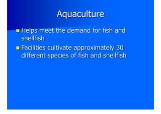 Fish And Shellfish | PDF