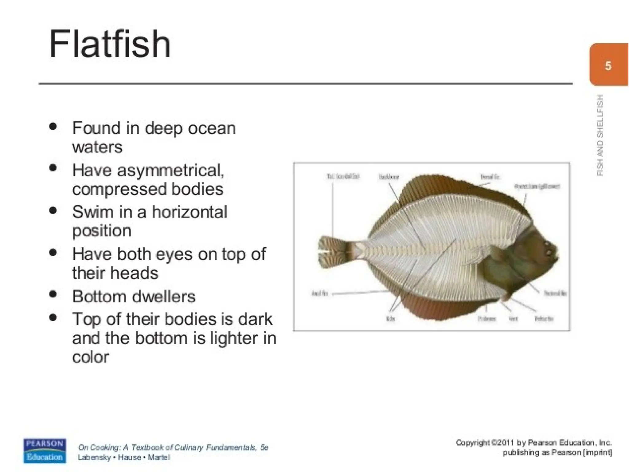 understanding the importance of FISH AND SHELLFISH.ppt