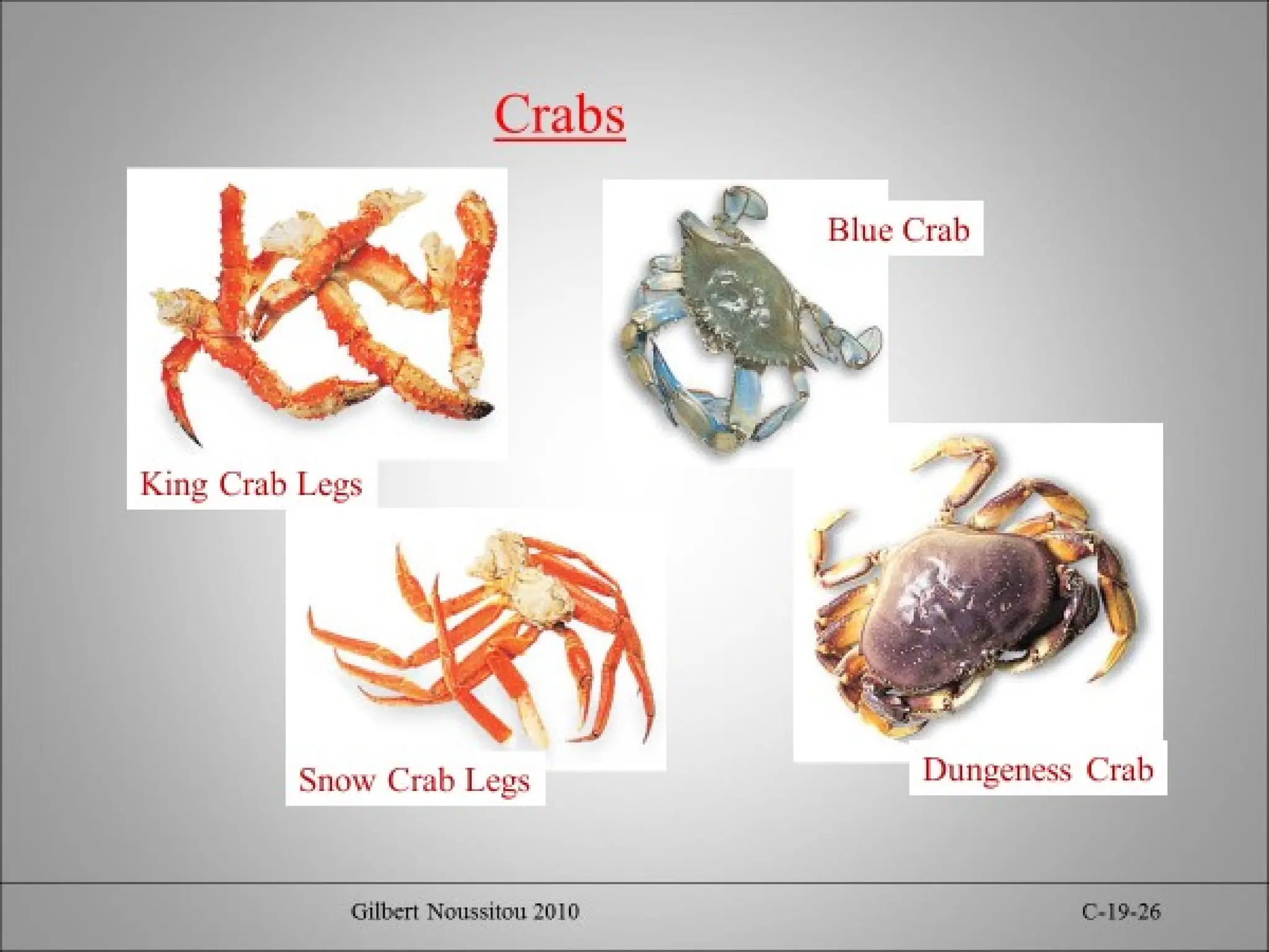 understanding the importance of FISH AND SHELLFISH.ppt