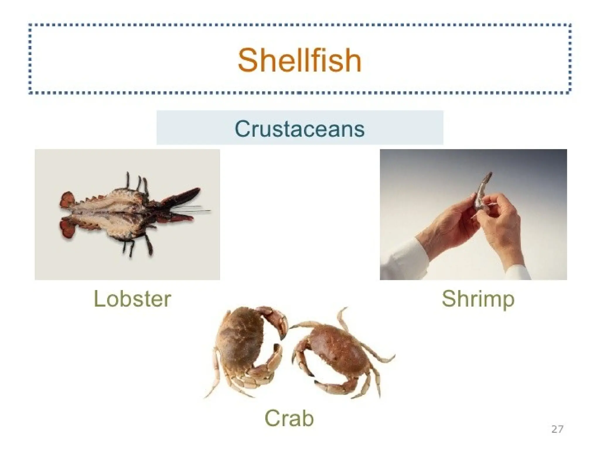 understanding the importance of FISH AND SHELLFISH.ppt understanding the importance of FISH AND SHELLFISH.ppt