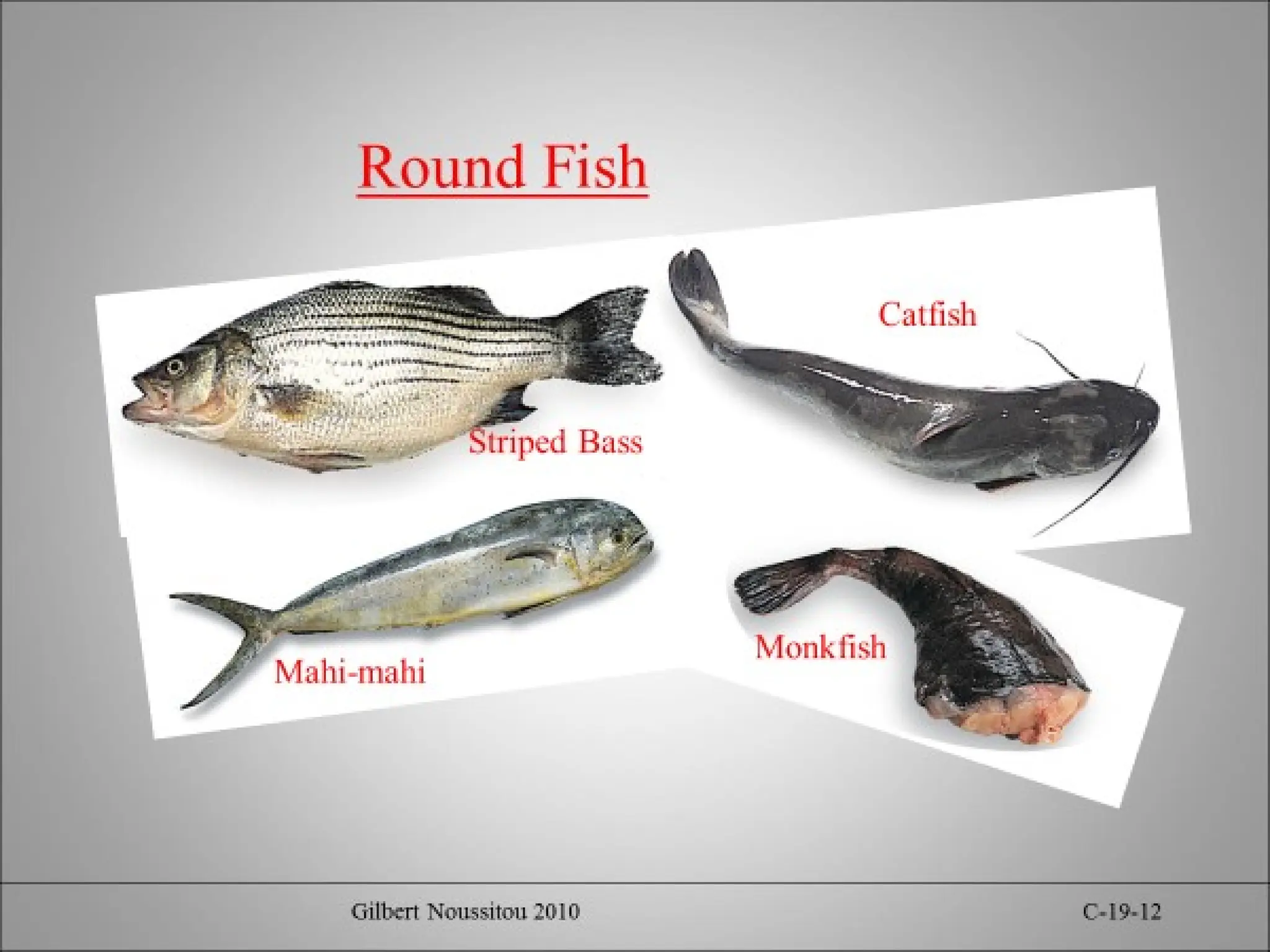 understanding the importance of FISH AND SHELLFISH.ppt