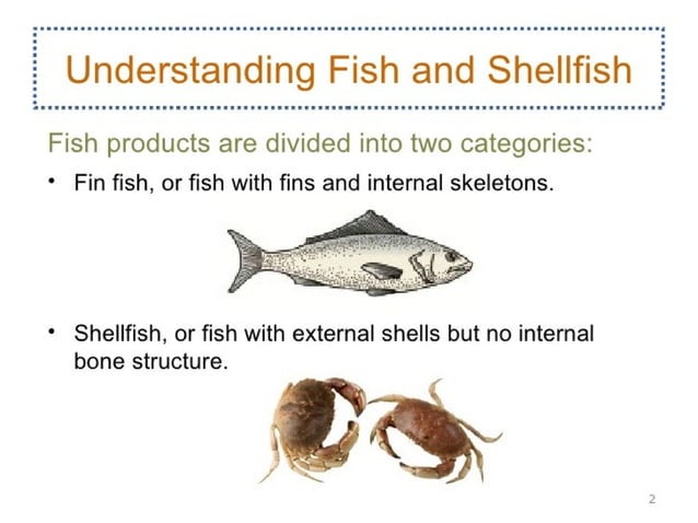understanding the importance of FISH AND SHELLFISH.ppt