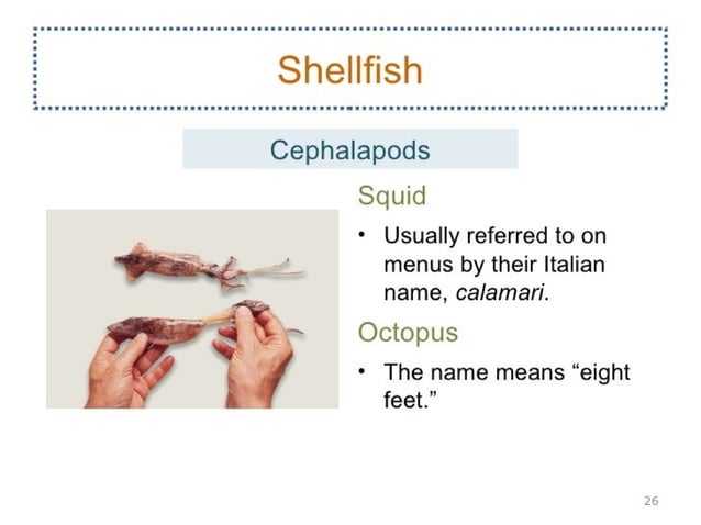 understanding the importance of FISH AND SHELLFISH.ppt