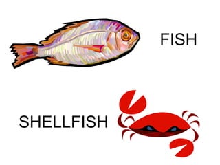 Fish and shellfish (1) | PPT
