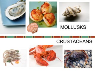 Fish and shellfish (1) | PPT