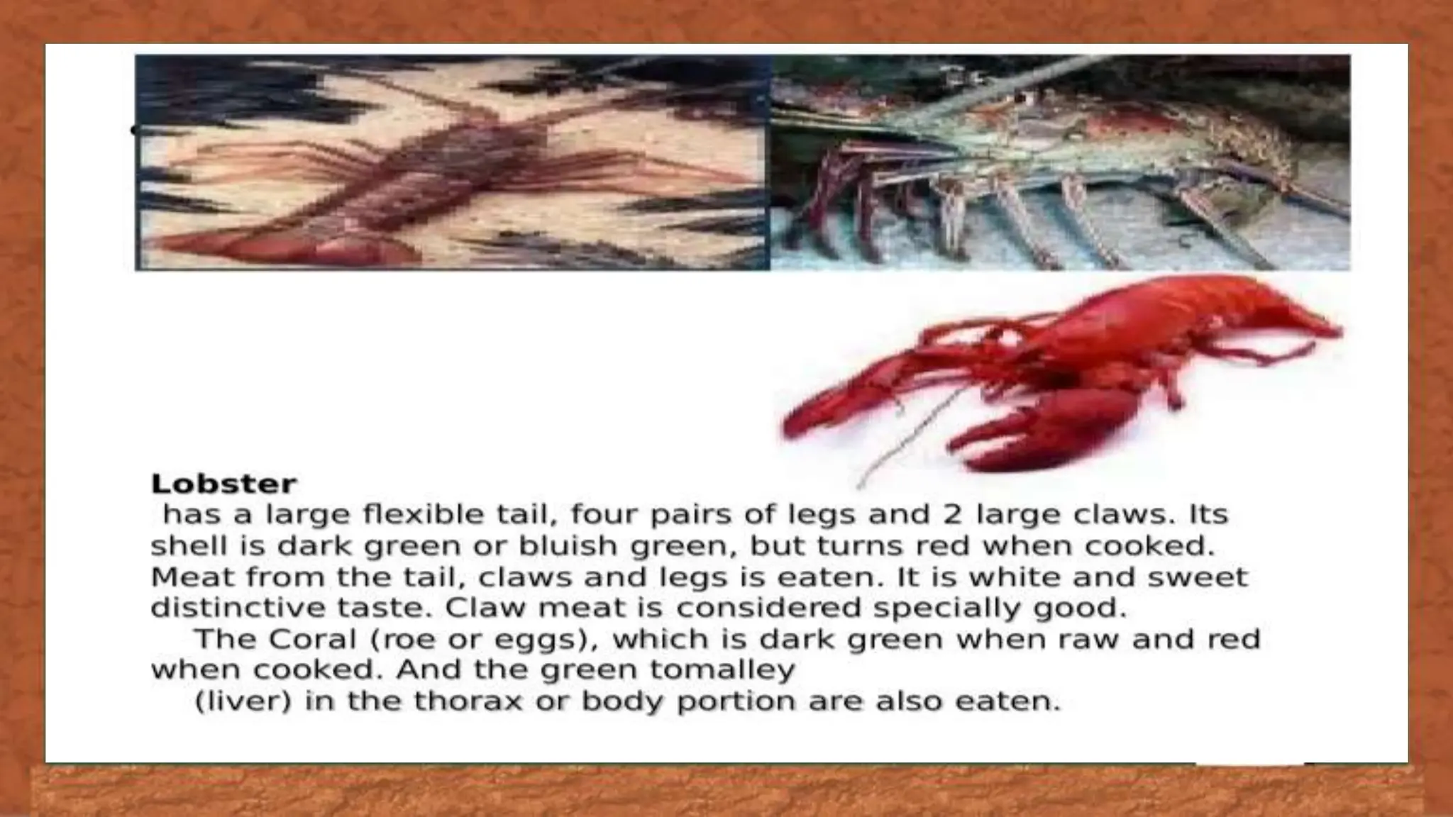 FIsh And Shellfish by luisa-1-1.pptxikek | PPT