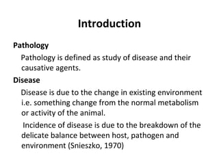 Fish and shellfish_disease | PPT