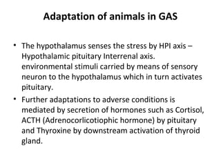 Fish and shellfish_disease | PPT
