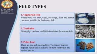 Fish and shell fish nutrition.pptx