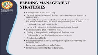 Fish and shell fish nutrition.pptx