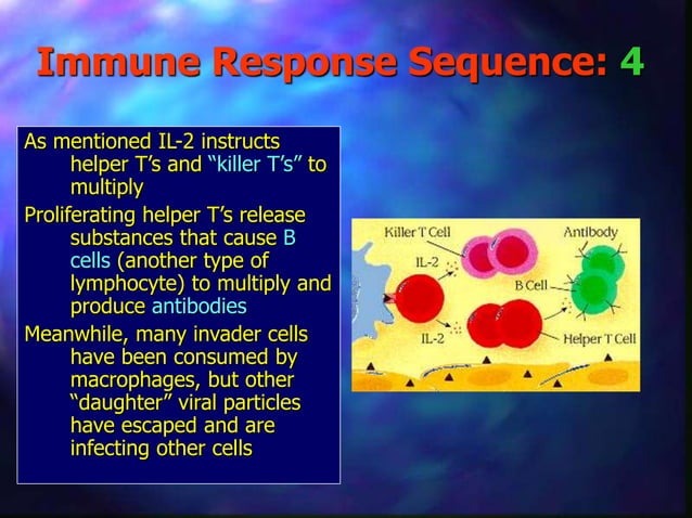 Fish and Shrimp immune response power point.ppt | Chemistry | Science