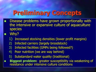 Fish and Shrimp immune response power point.ppt
