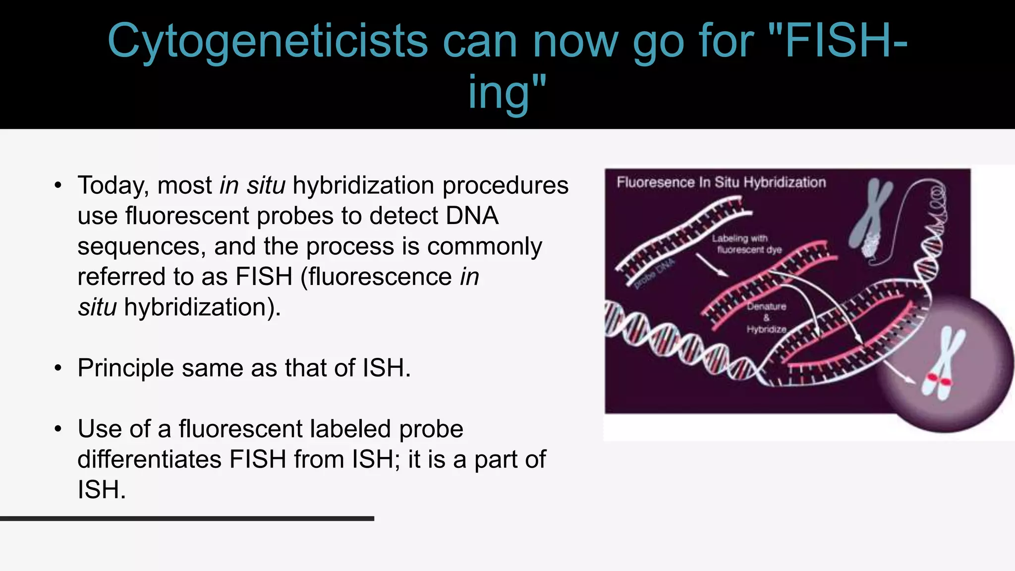 Fundamentals of Fluorescence in situ Hybridization | PPTX