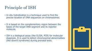 Fundamentals of Fluorescence in situ Hybridization | PPTX