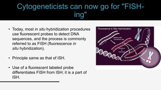 Fundamentals of Fluorescence in situ Hybridization | PPTX