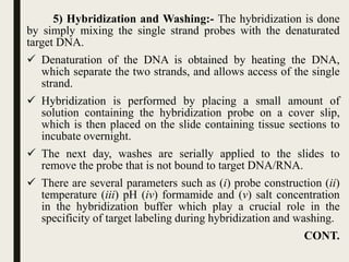 Fluorescent in situ hybridization (FISH) | PPTX