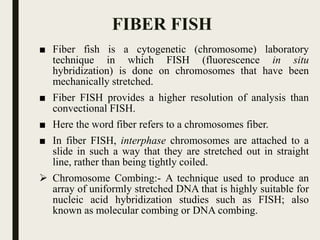 Fluorescent in situ hybridization (FISH) | PPTX