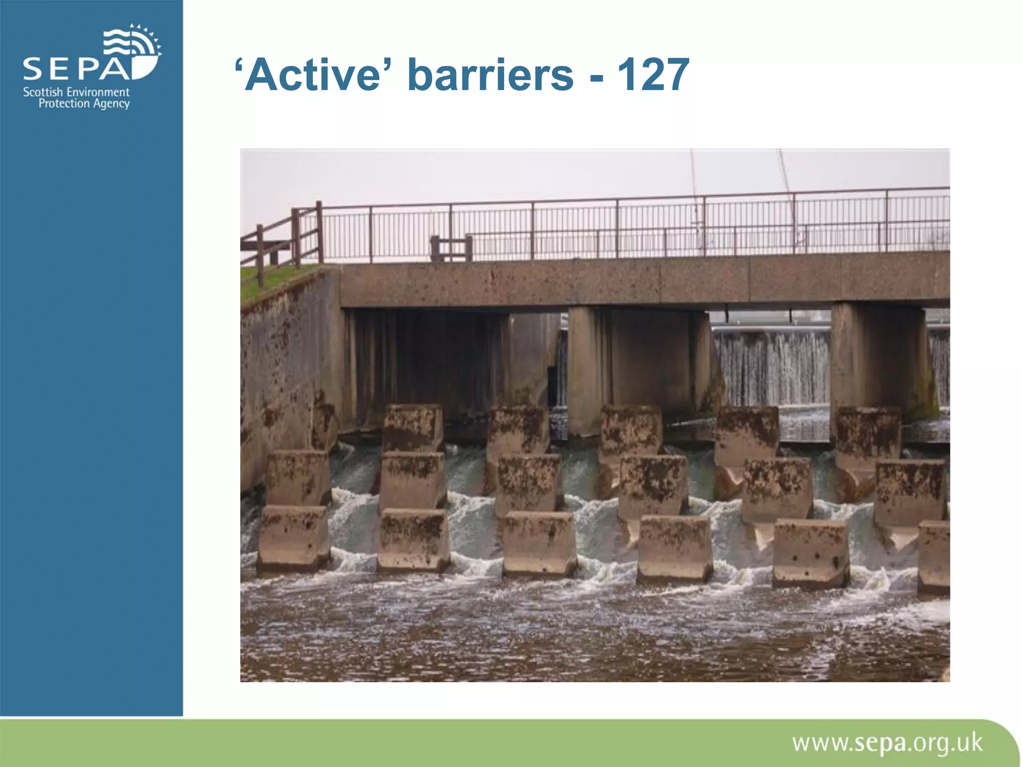 Fish barriers in scotlands river basin management plans - Roy ...