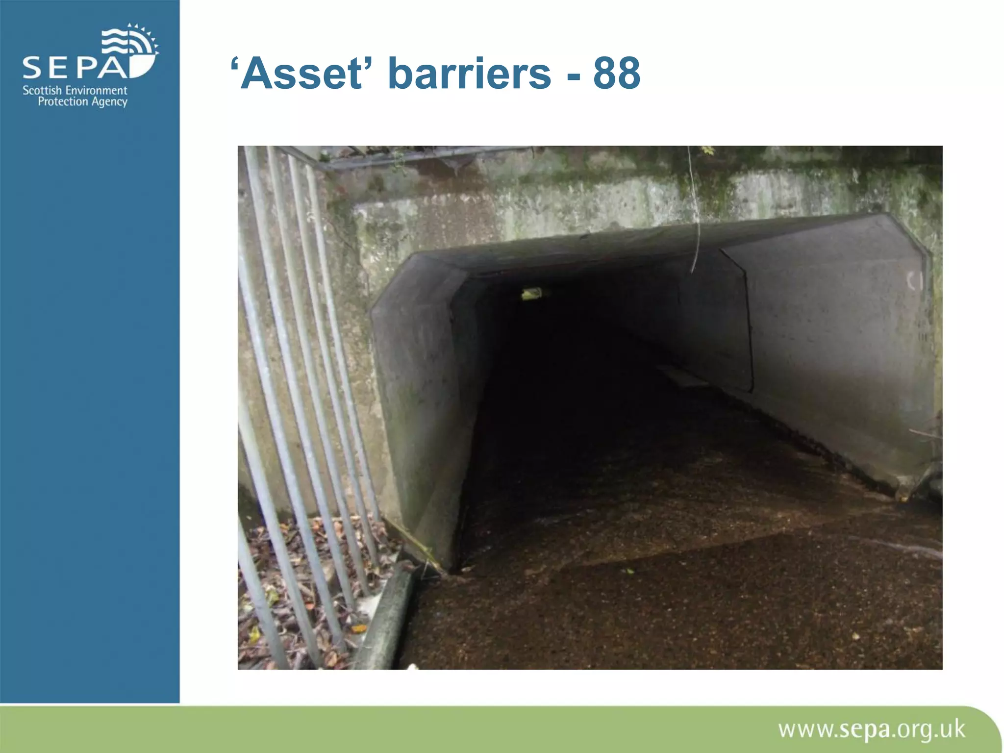 Fish barriers in scotlands river basin management plans - Roy ...