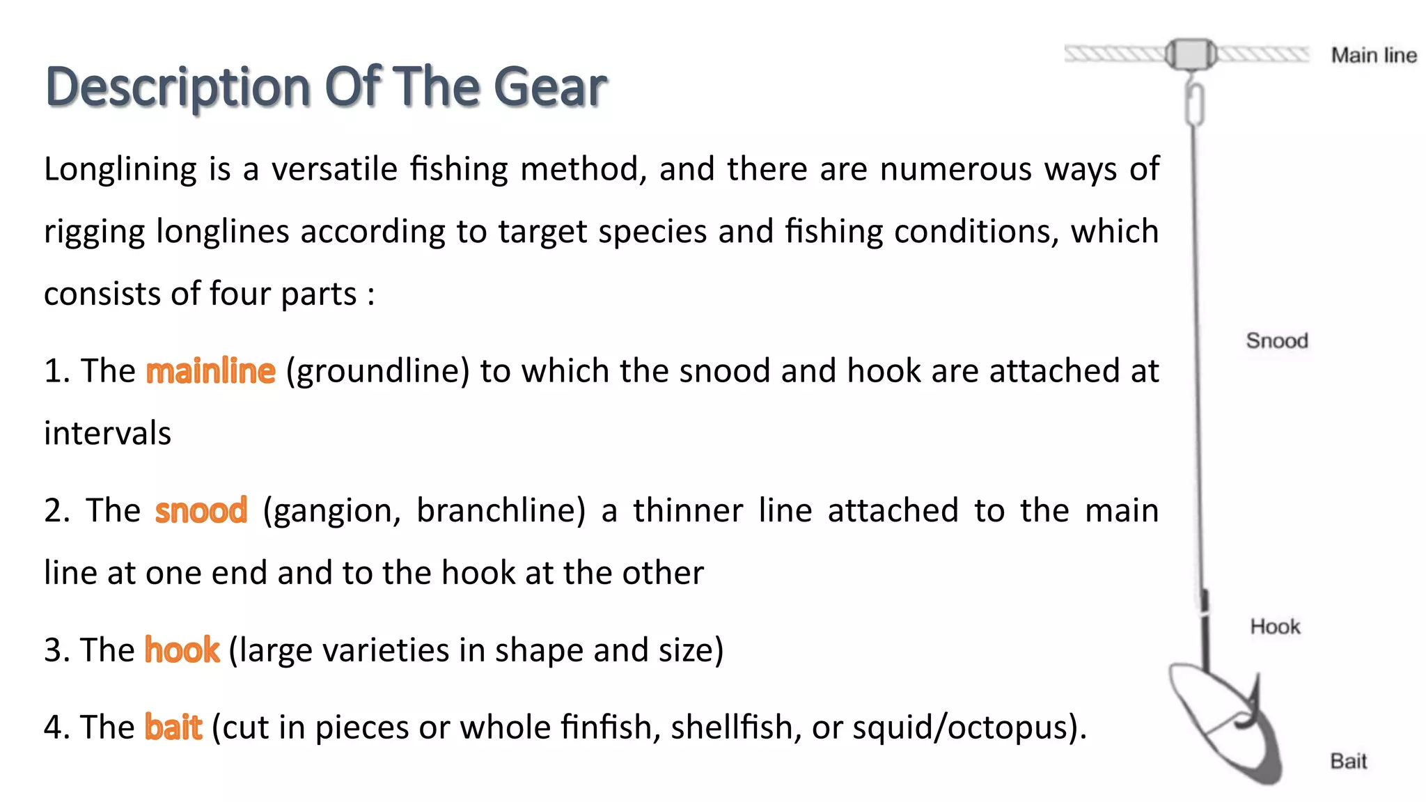 Fish Behavior in relation to Longlines.pptx