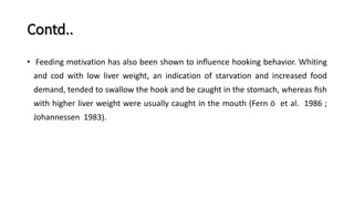 Fish Behavior in relation to Longlines.pptx