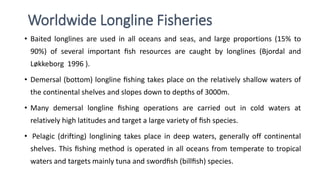 Fish Behavior in relation to Longlines.pptx