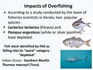 Depleting Fish biodiversity | PPTX