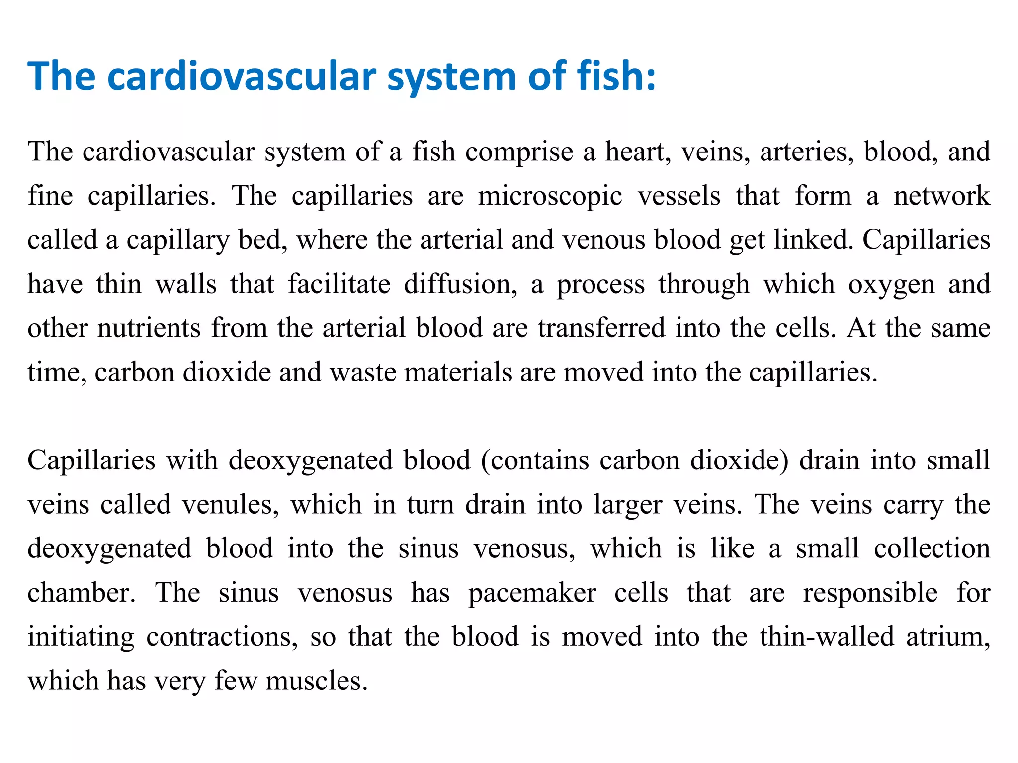 Fish blood | PDF | Blood Disorders | Diseases and Conditions