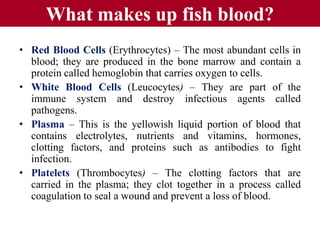 Fish blood | PDF