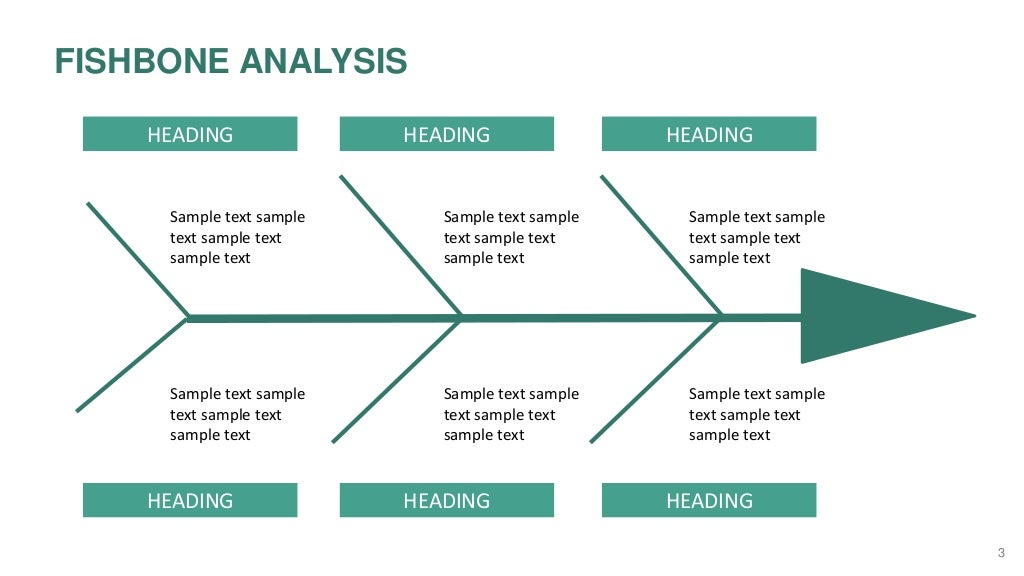 Fish bone analysis slides