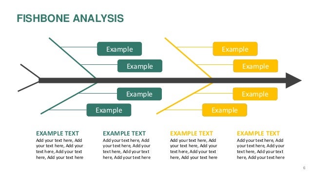 Fish bone analysis slides