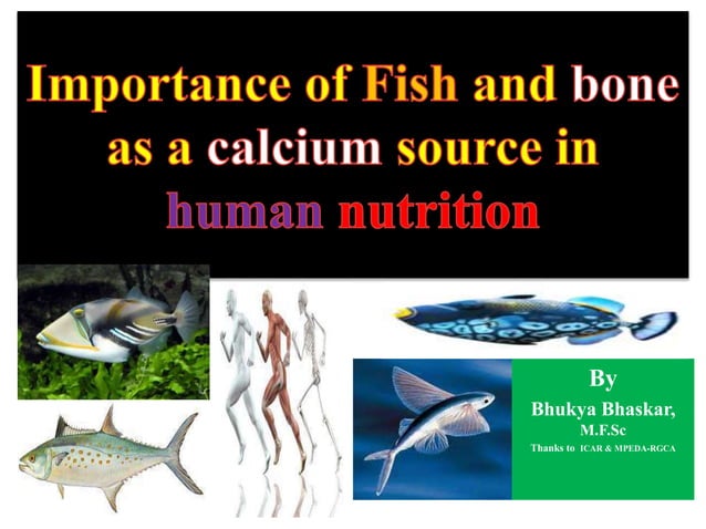 Fish bone as a calcium source.pptx