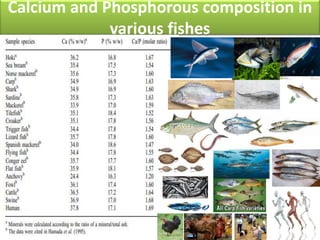 Fish bone as a calcium source.pptx