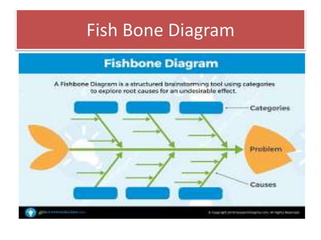 Fishbone Diagram.pptx